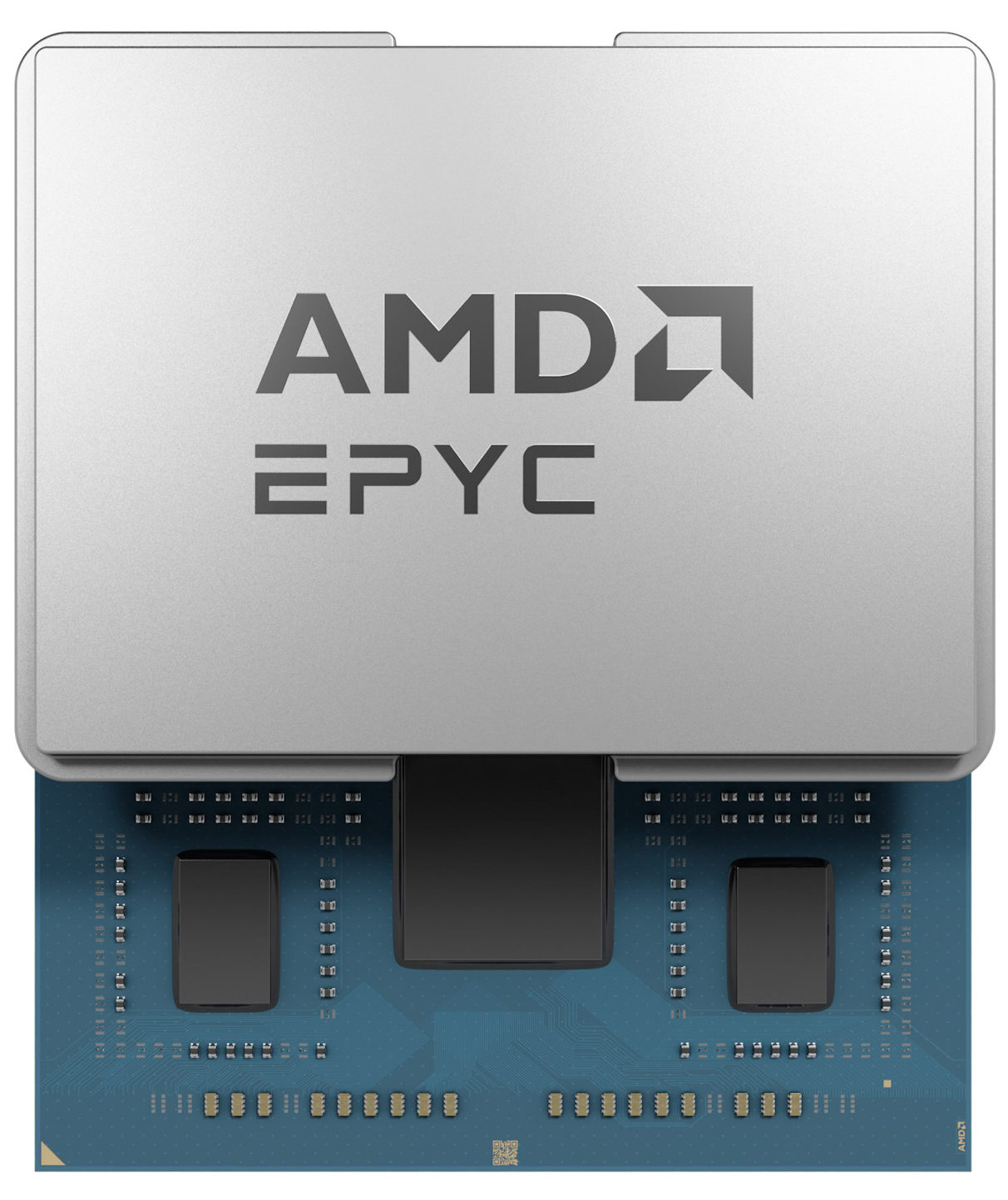AMD EPYC 8004 Serisi
